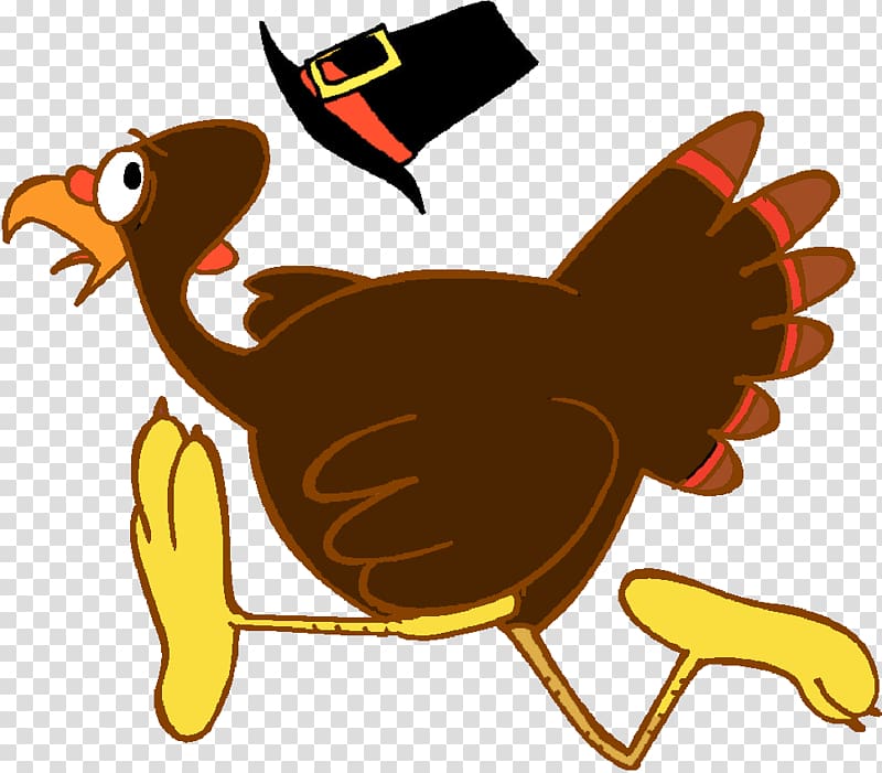 The FOWL Run – Lancaster Road Runners Club